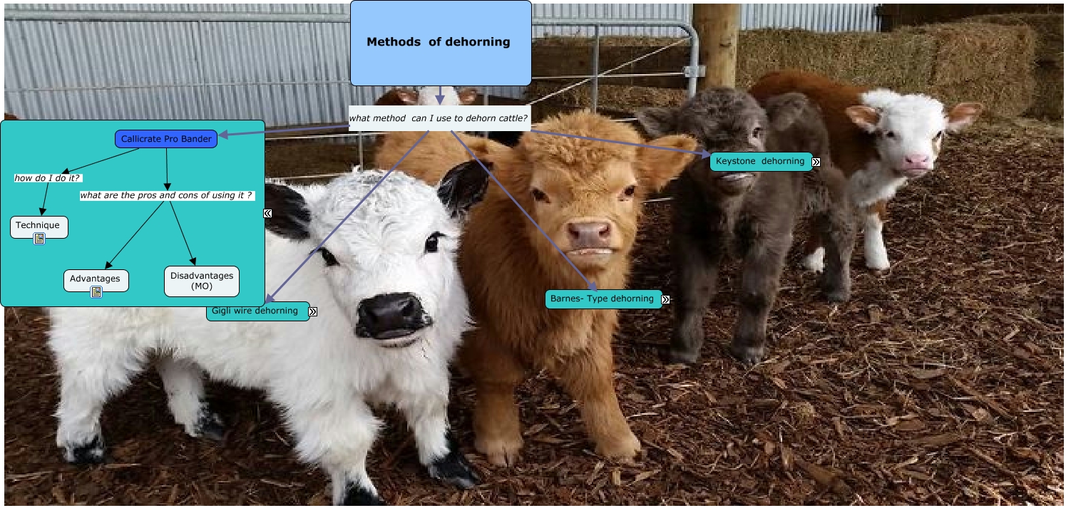 Methods of dehorning